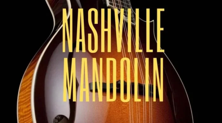 Past to Future Reverbs – Nashville Mandolin Strummer (KONTAKT) - Plugin ...