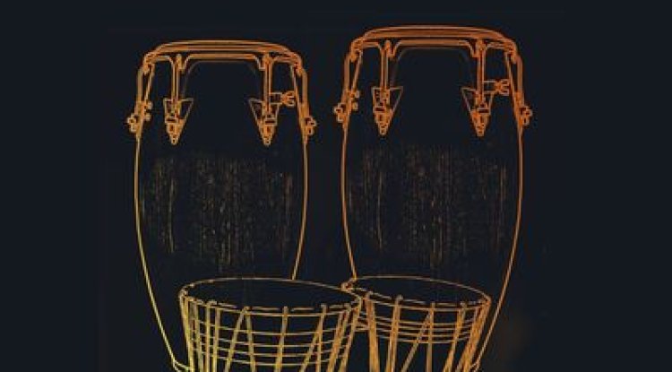 House Of Loop - House Bongos & Congas (WAV) - drum samples - Türkiyenin ...